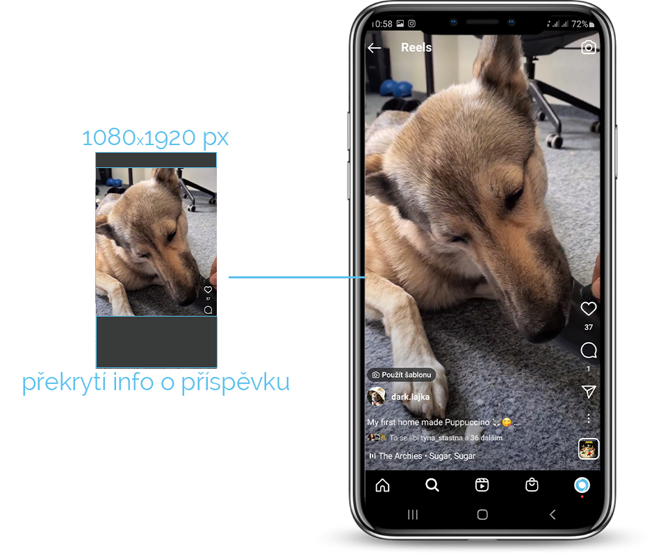Průvodce rozměry na sociálních sítích - INNOIT